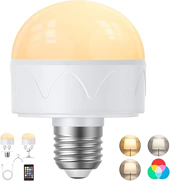 Rechargeable Light Bulbs with Remote, Battery Operated Light Bulb ...