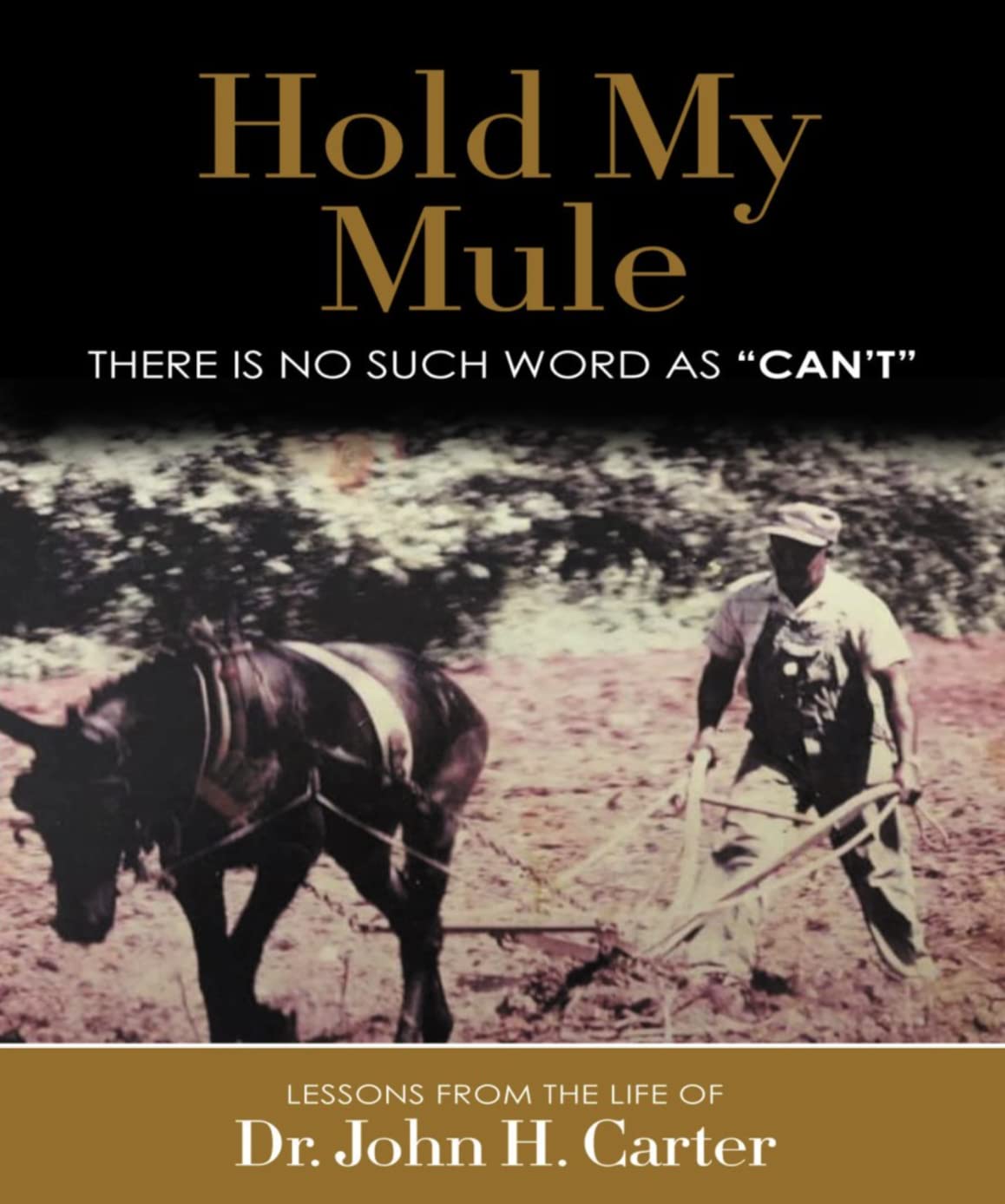 Hold My Mule by Dr. John H. Carter: Dr. John H. Carter: 9780578005584: Amazon.com: Books