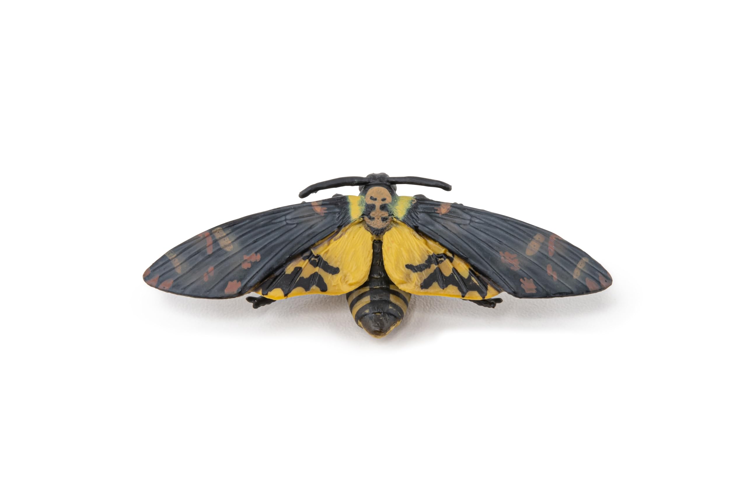 Papo – Hand painted – Animal Figures – Moth – 50299 – Wildlife ...