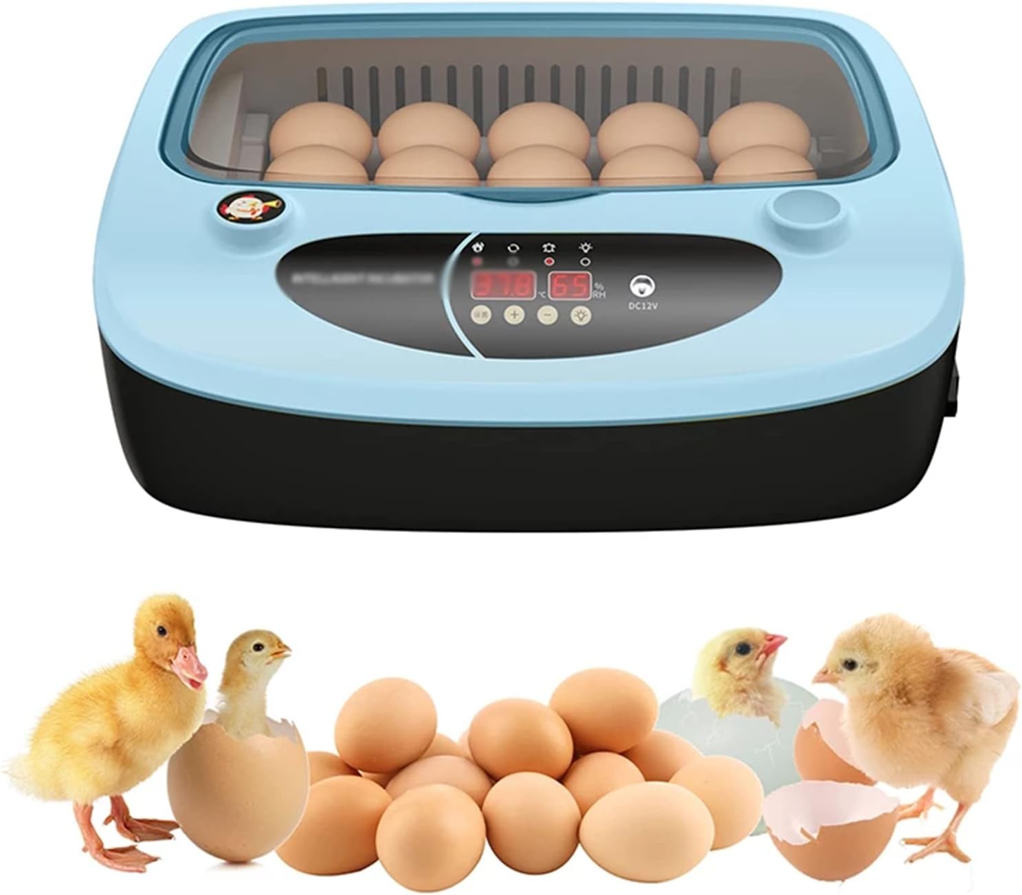 Amazon.com: COKUERA Hatching Eggs Machine Electric, Automatic Egg ...