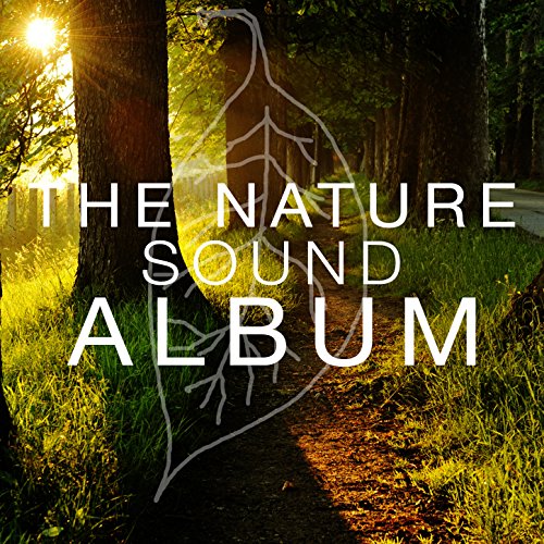 Play The Nature Sound Album by Nature Sound Collection on Amazon Music