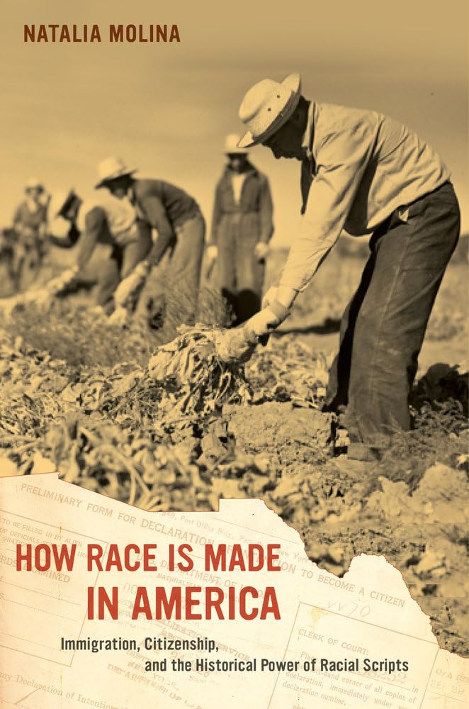 How Race Is Made in America: Immigration, Citizenship, and the ...