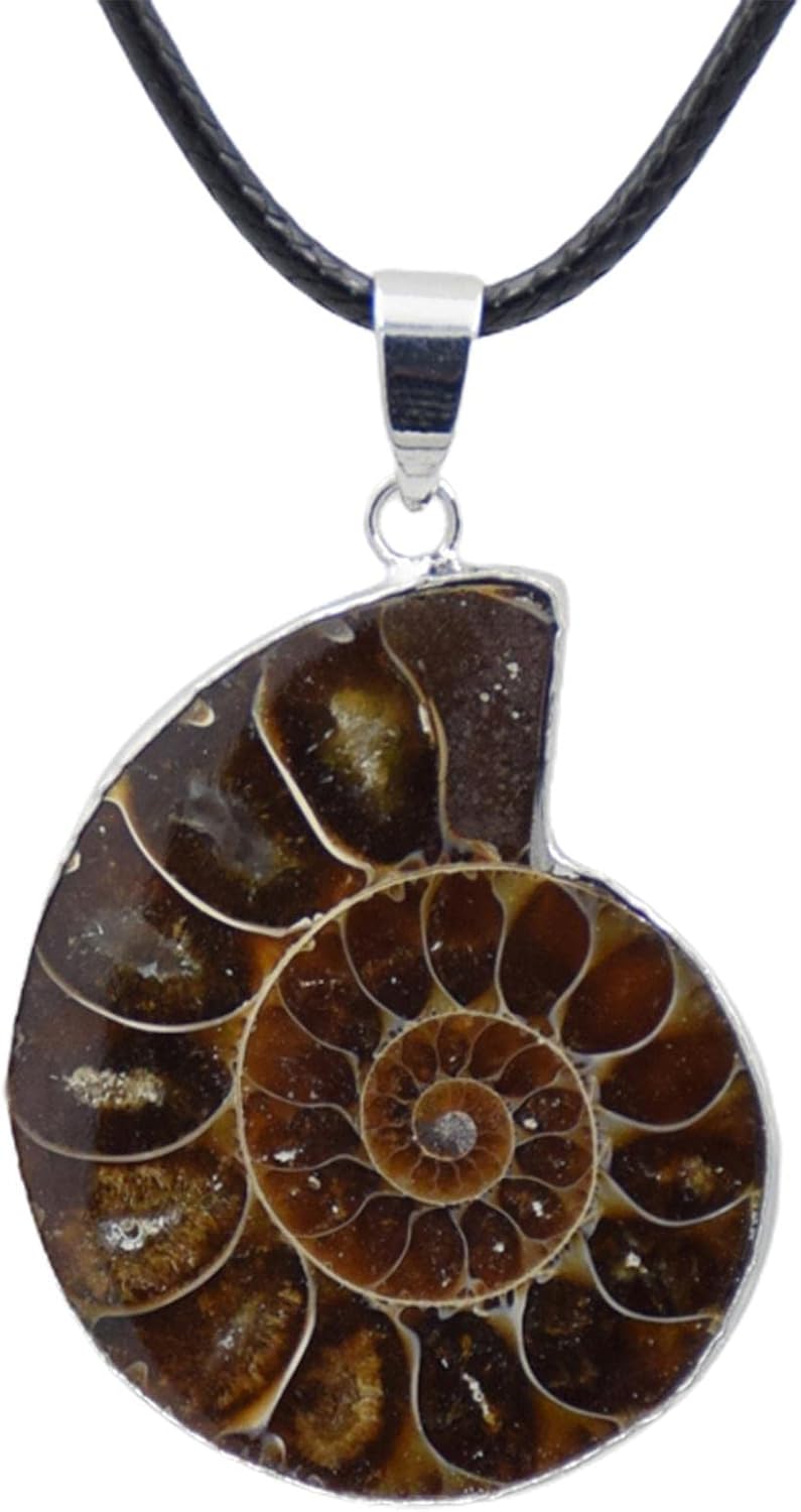 Conch Shell Necklace,Snail Shape Ammonite Fossils Shell Necklace ...