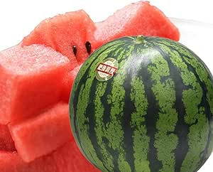 Amazon.co.jp: 熊本産 肥後浪漫スイカ 1玉（2L~3Lサイズ 約6～8kg）【訳あり】 : 食品・飲料・お酒