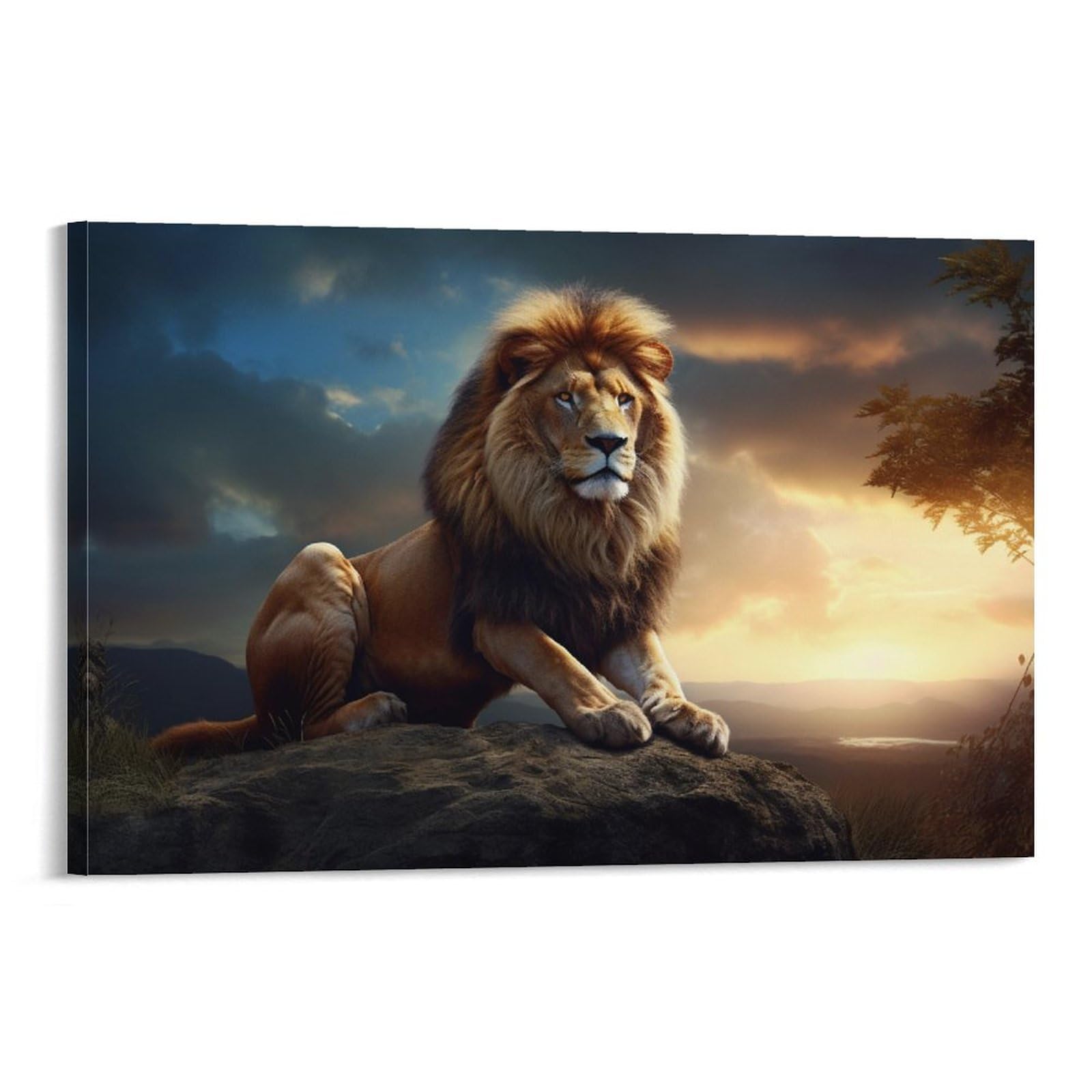 Cool Lion Designs