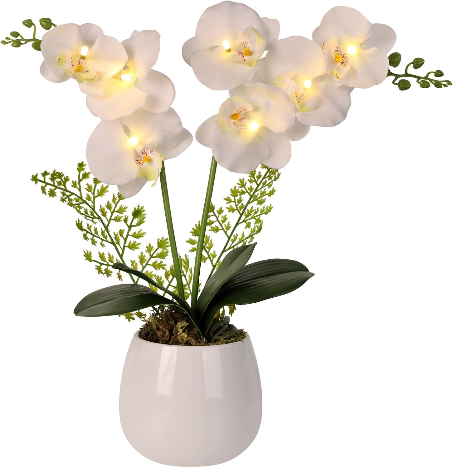 Amazon.com: Blurati LED Lighted Artificial Flower Lamp Faux Potted ...