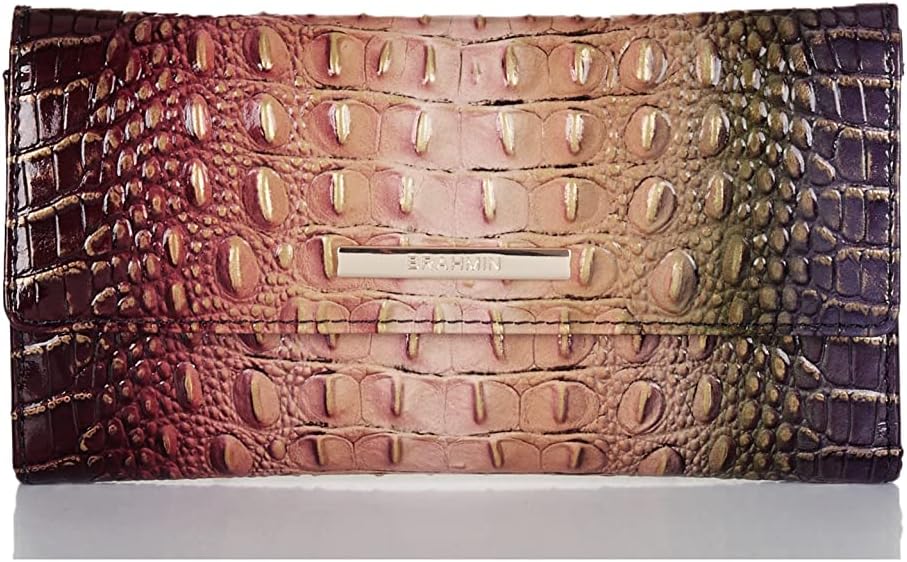 Amazon.com: BRAHMIN Autumn Ombre Mini Melbourne Cordelia Wallet ...