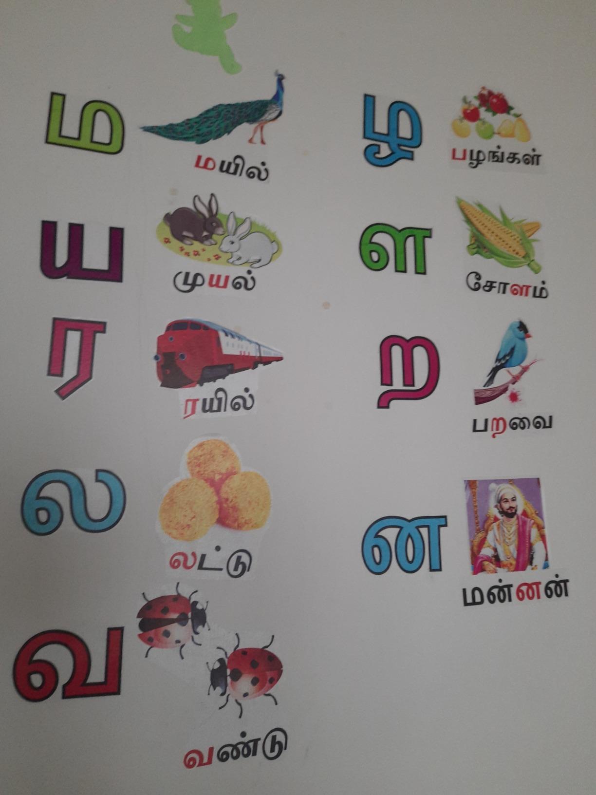 Wallstick Tamil Letters wallstickers (Vinyl 110 cm x 80 cm) : Amazon.in ...