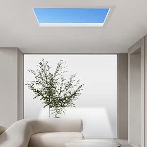 Amazon.com: Hotel Artificial LED Skylight Blue Sky Ceiling Lamp, WiFi ...