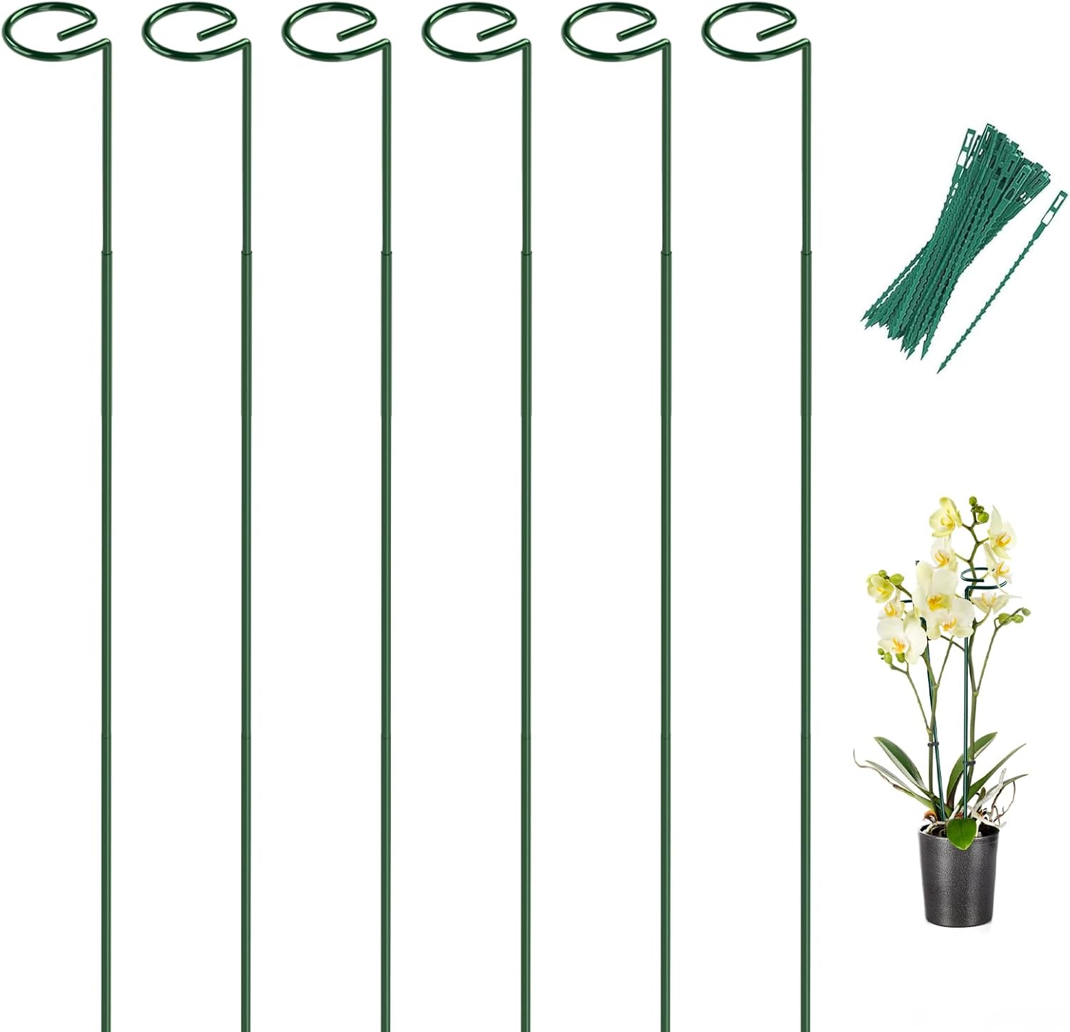 Amazon.com : Breeze Touch 6 Pack Plant Stakes, 35.4 Inch Plant Support ...