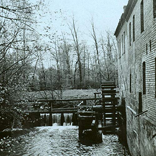 Play Cut to the Chase by Vampire Rodents on Amazon Music