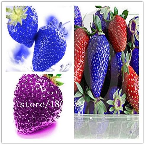 Amazon.com : 500 Particles Red Strawberry Seeds Fruit Seeds For Home ...