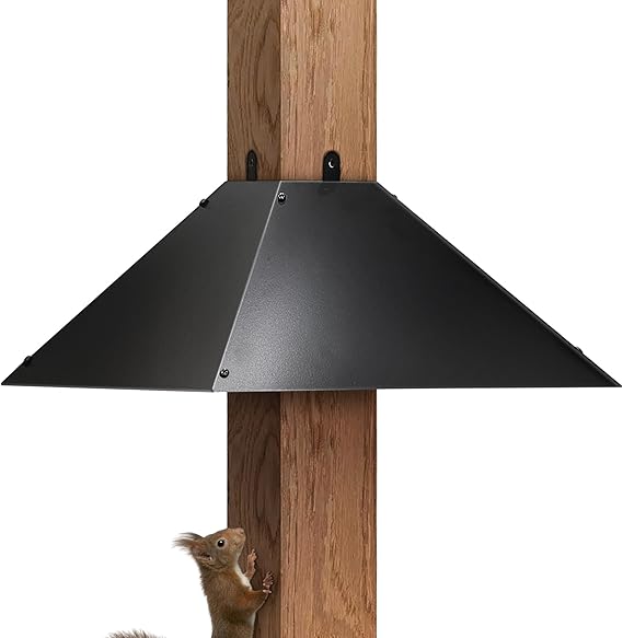 Amazon.com : Metal Squirrel Baffle for 4x4 Wooden Pole, Squirrel ...