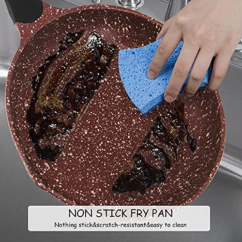 ROSSETTO Cast Aluminium Frying Pan for All Heat Sources Including ...