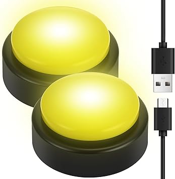Amazon.com: Saysurey 2 Pack USB Recordable Button 240 Seconds ...