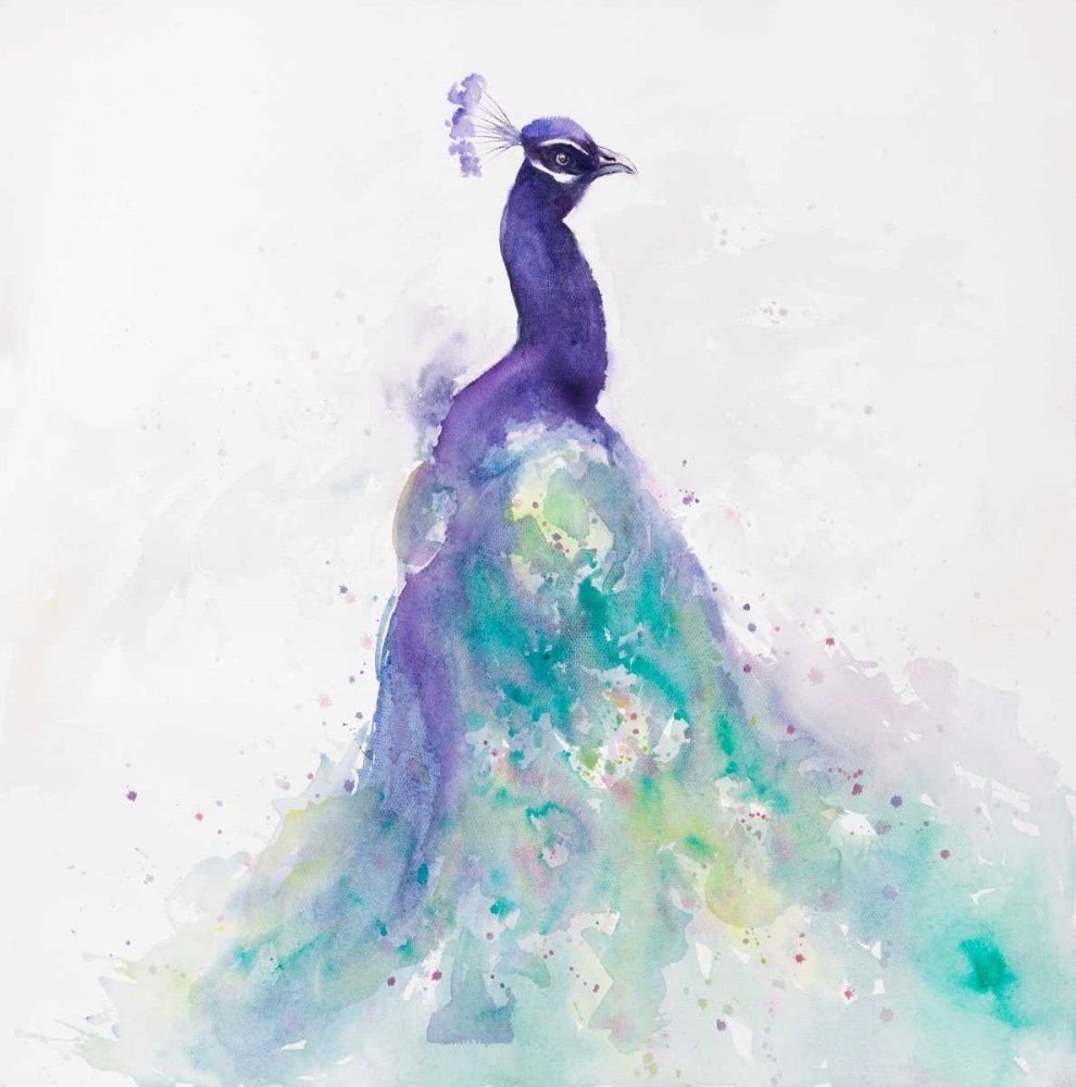 Abstract Peacock Drawing Gorgeous Feathers: Peacock In All Its Glow By