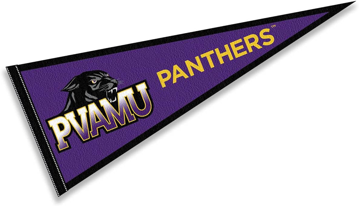 Amazon.com : Northeastern University Pennant Full Size Felt : Sports ...