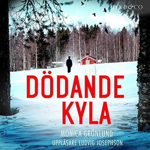 Dödande kyla: Harry Hansson och Tom Elfversson 2 (Audio Download ...