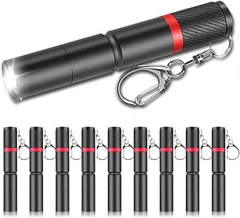 MVIOCS 10 Pack LED Pocket Flashlights, Mini Small Handheld Penlight ...