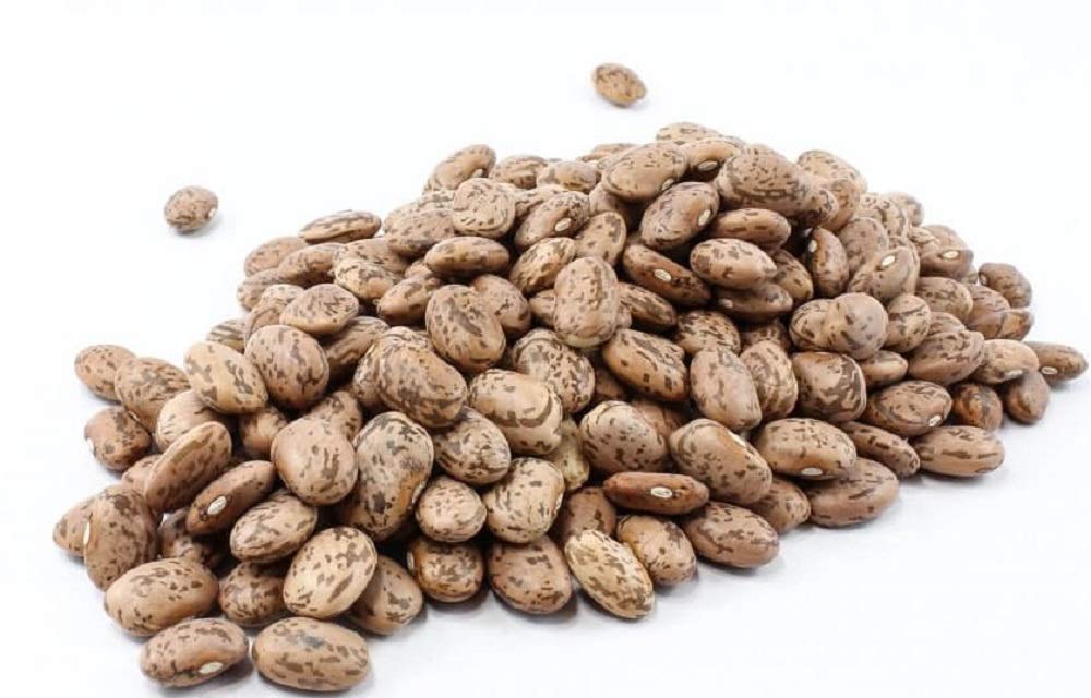 Amazon.com: Shell Pinto Bean Seeds - 100 Count Seed Pack - Tasty and ...