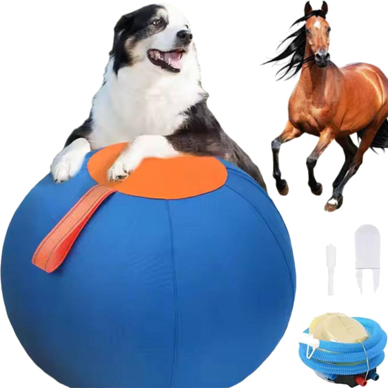 Jollyball Hunde