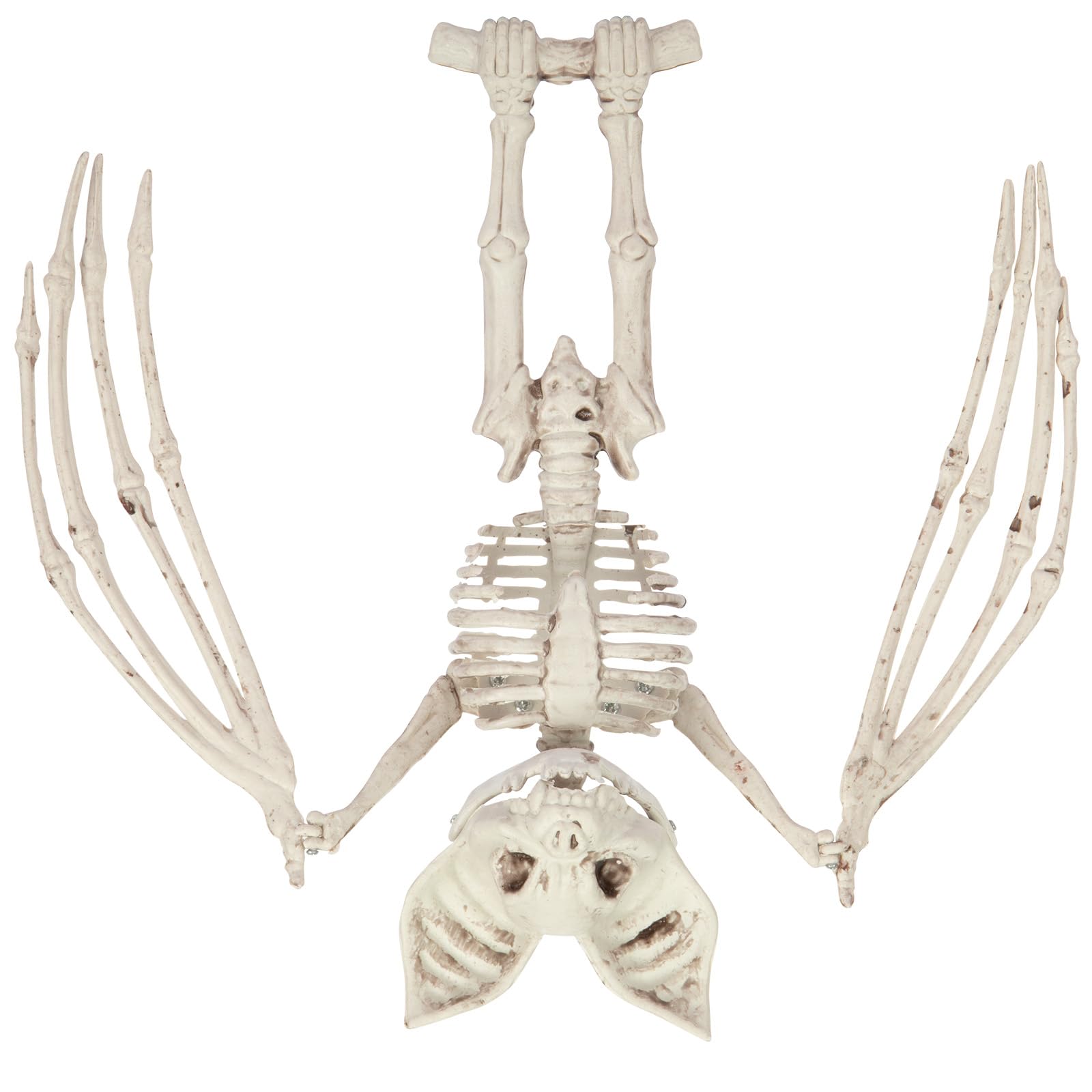 Amazon.com : DECORLIFE Halloween Bat Skeleton, 11" Halloween Animal ...