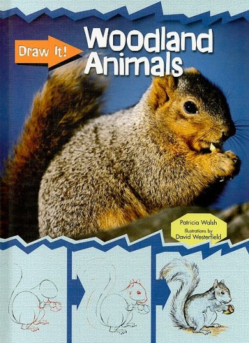Woodland Animals (Draw It!): Walsh, Patricia, Westerfield, David ...