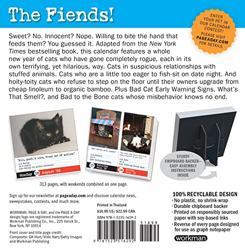 Snapklik.com : Bad Cat Page-A-Day Calendar 2023: 365 Not So-Pretty Kitties