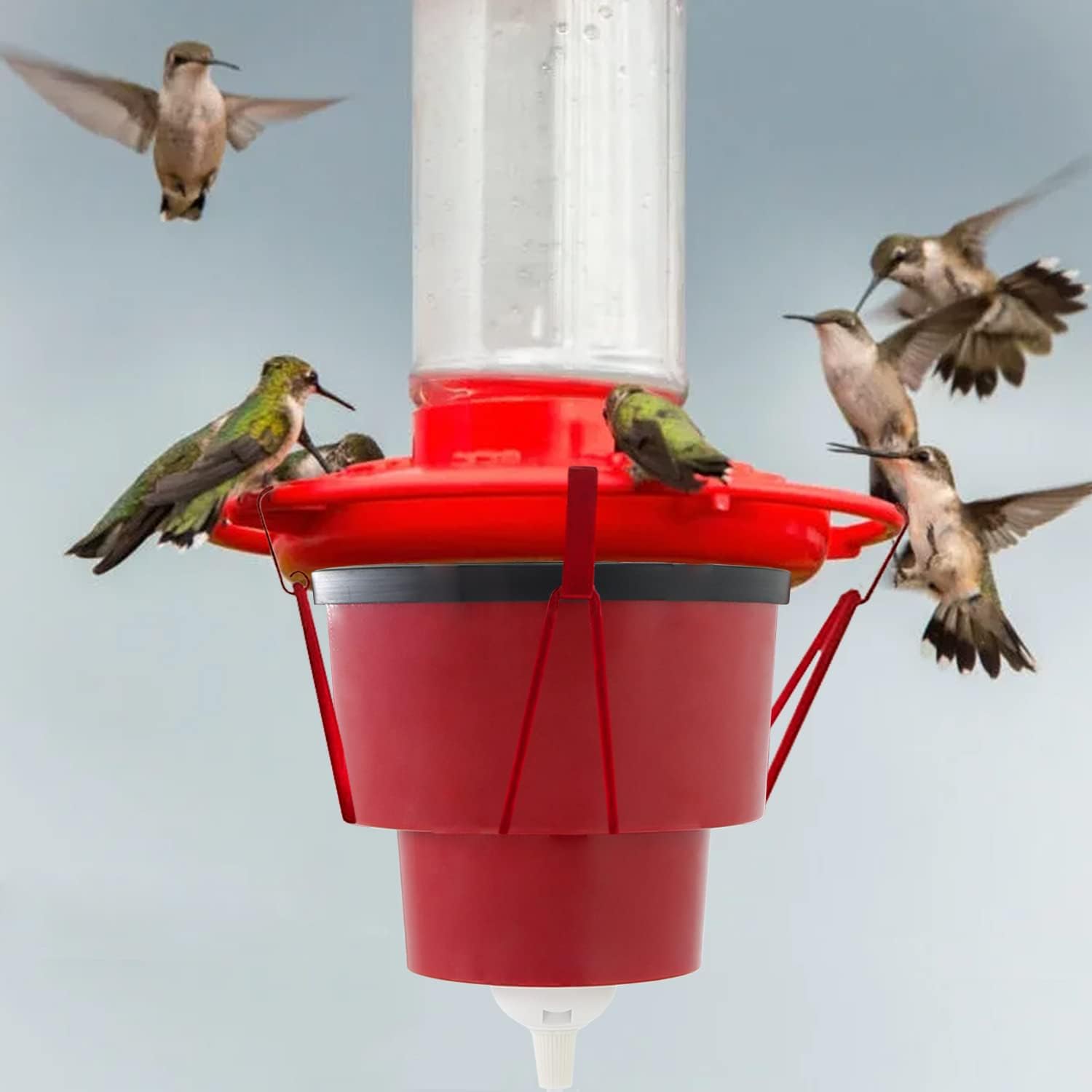 Backyard Bird Centre Hummer Hearth Hummingbird Feeder Heater, Made in ...