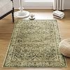 Amazon.com: Vintage Design Floral Area Cream Rug Distressed Carpet ...