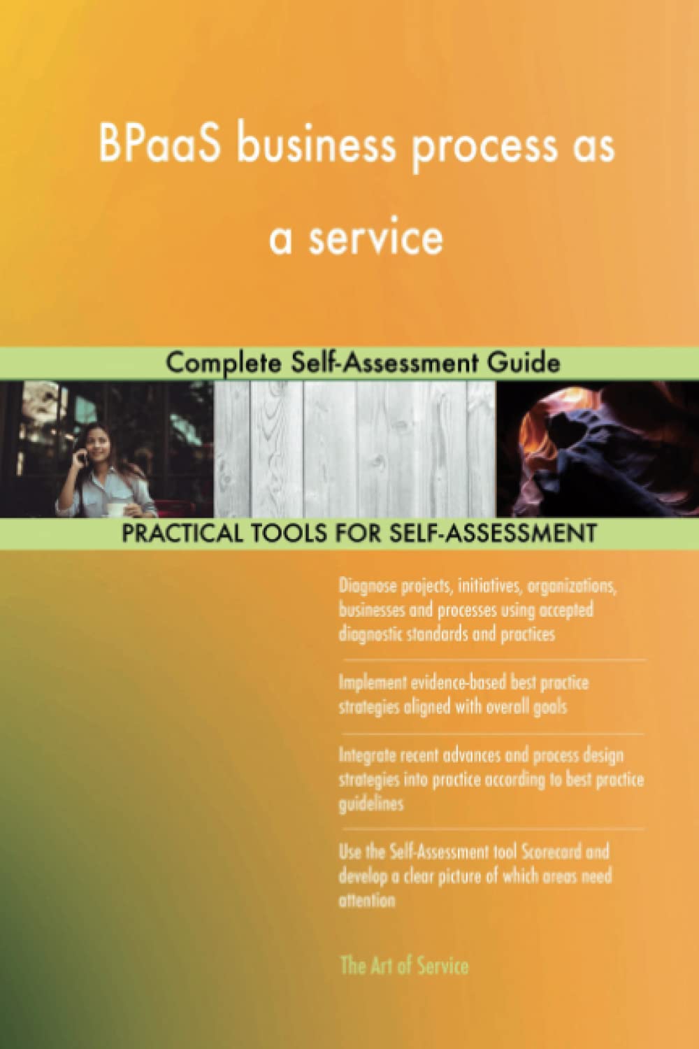 BPaaS business process as a service Complete Self-Assessment Guide: Gerardus Blokdyk ...