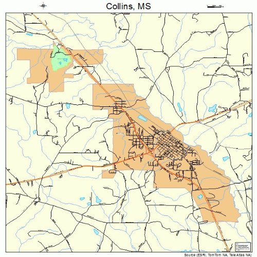 Large Street & Road Map of Collins, Mississippi MS - Printed poster ...