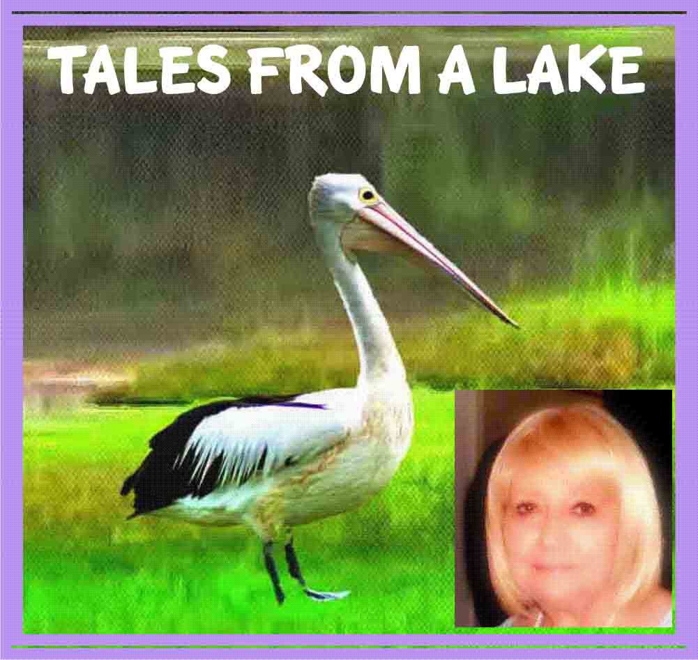 Amazon.com: Marilyn Beattie: books, biography, latest update