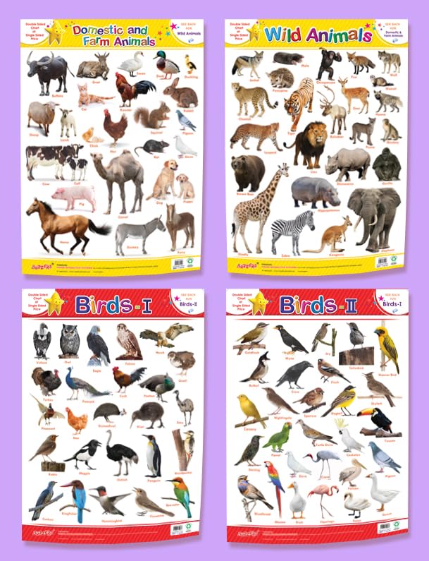 2 in 1 Preschool Charts-Domestic Animals & Wild Animals / Birds (Double ...