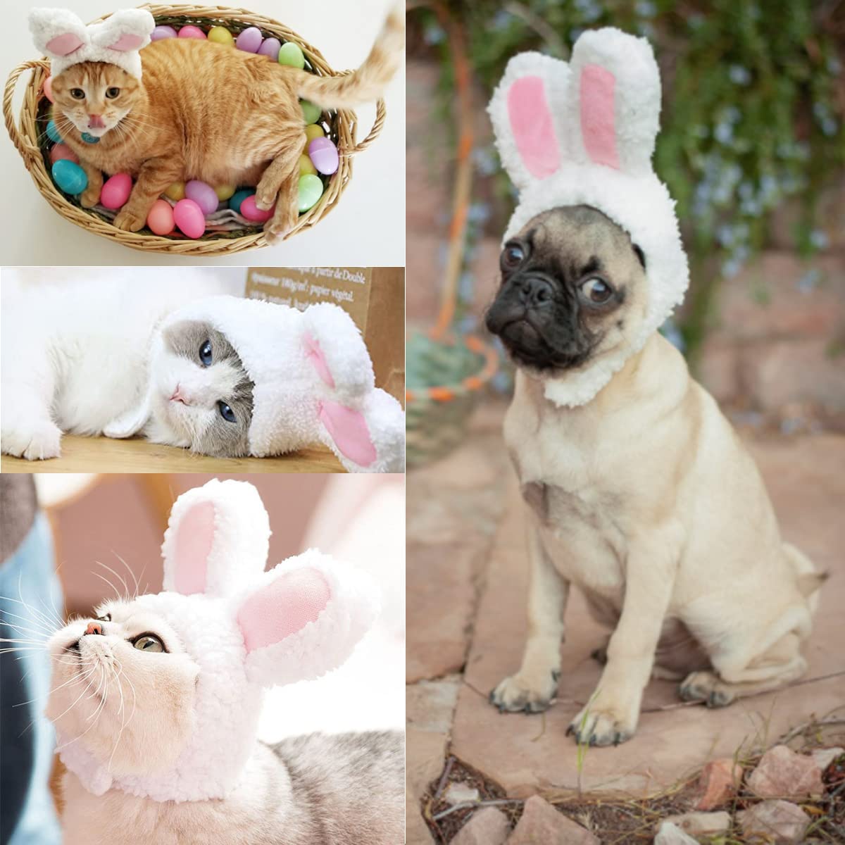 Pugs In Easter Costumes