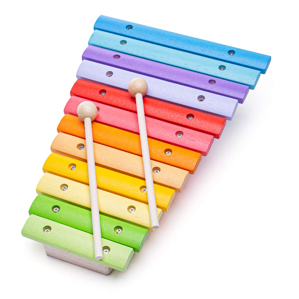 Amazon.com: Bigjigs Toys Snazzy Xylophone : Toys & Games