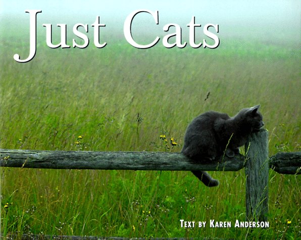 Just Cats: Anderson, Karen: 9781572231870: Amazon.com: Books