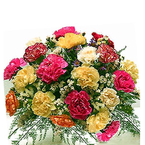 Tokenz Mix Carnations Bouquet (Bunch of 20, Same Day Delivery) : Amazon.in