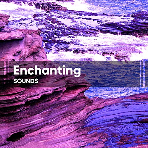 Amazon.com: Enchanting Sounds for Calm : Calm Solitude: Digital Music