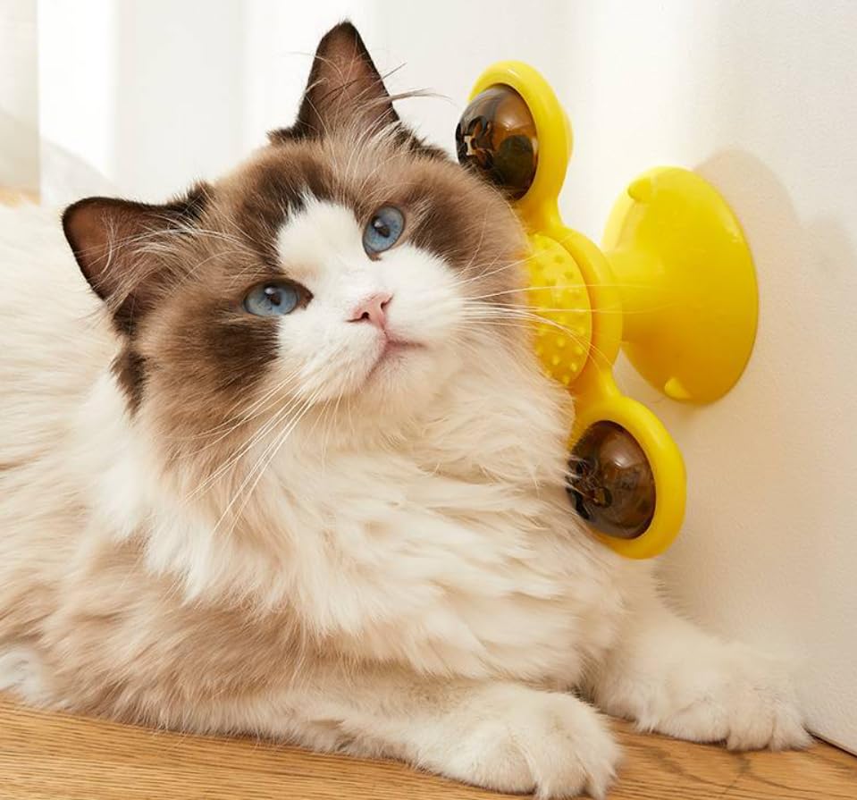 Amazon.com : FONAY Windmill cat Toy Turntable Interactive cat String ...