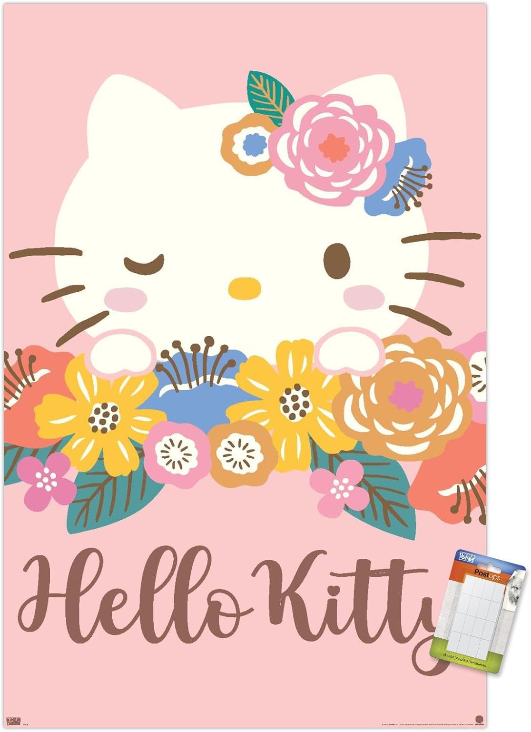 Amazon.com: Hello Kitty and Friends: 24 Flowers - Hello Kitty Wall ...