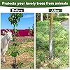 Amazon.com : Tree Trunk Protector, 6 Pcs Plant Guard Protectors with ...