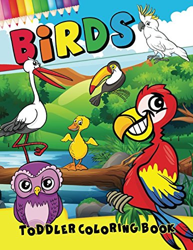 Birds: Preschool Activity Toddler Coloring Book Age 1-3 (Toddler ...