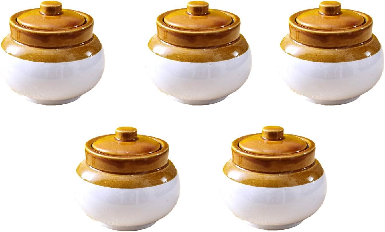 Buy SHRIYAM CRAFTS Ceramic Jar With Lid Unique Design Food Storage ...