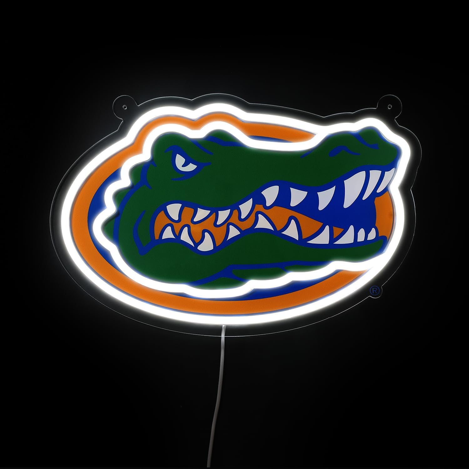 Amazon.com : Saturday Neon Officially Licensed NCAA Florida Gators LED ...