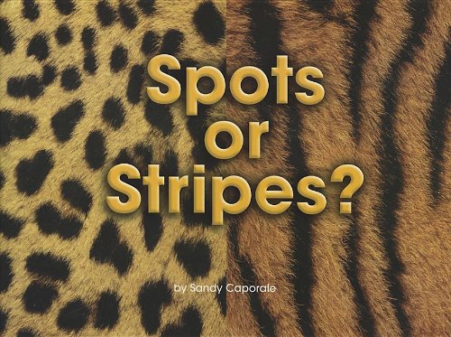 Spots or Stripes? (Shutterbug Books: Math): Sandy Corporale: 9780739858523: Amazon.com: Books