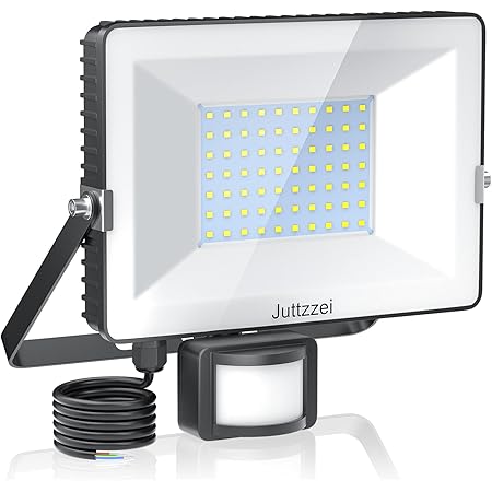 CLY 25W Security Lights Outdoor Motion Sensor, 2100 Lumen IP66 ...