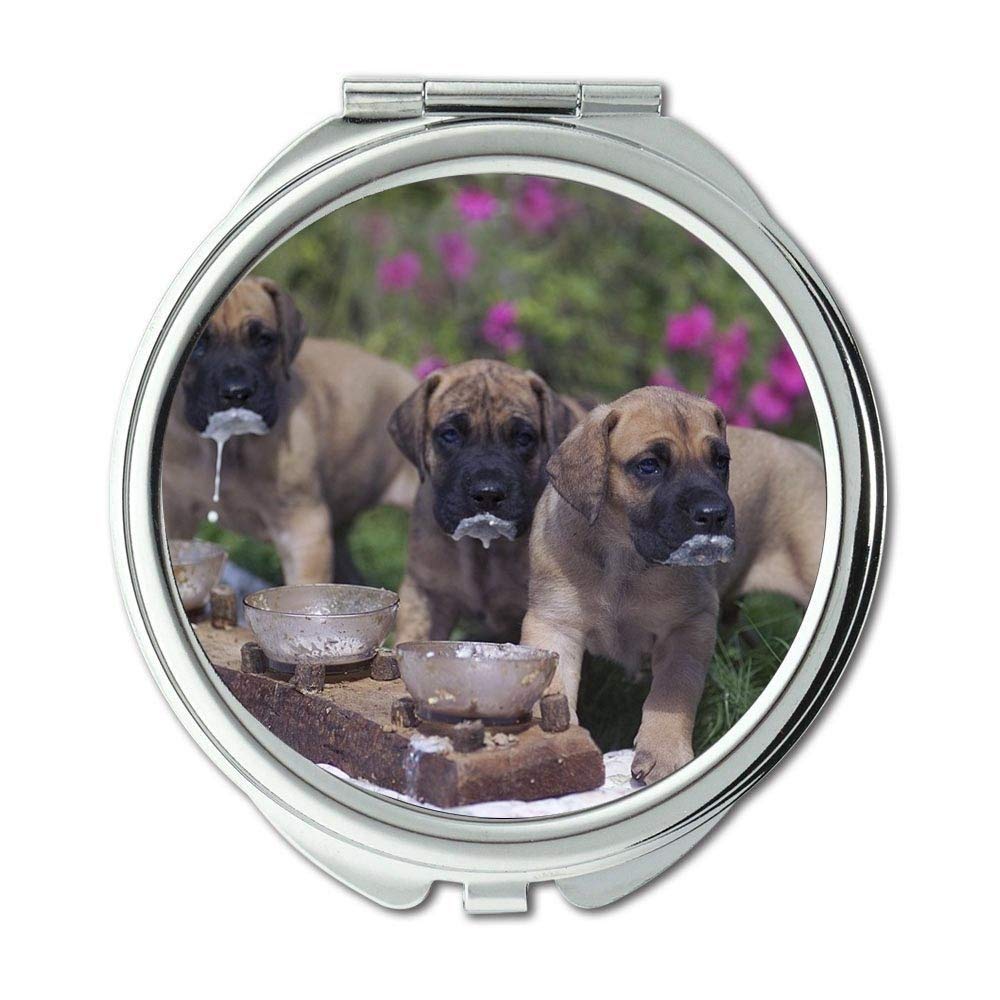 Amazon.com : Mirror,makeup mirror,Bulldog Puppies dogs pets great dane ...