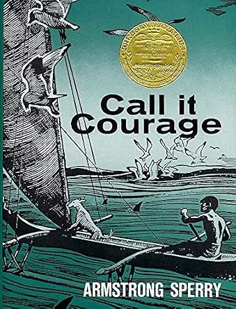 Call It Courage: Sperry, Armstrong: 9780027860306: Amazon.com: Books