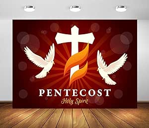 Amazon.com : BELECO 6x4ft Fabric Pentecost Backdrop Holy Spirit Dove ...